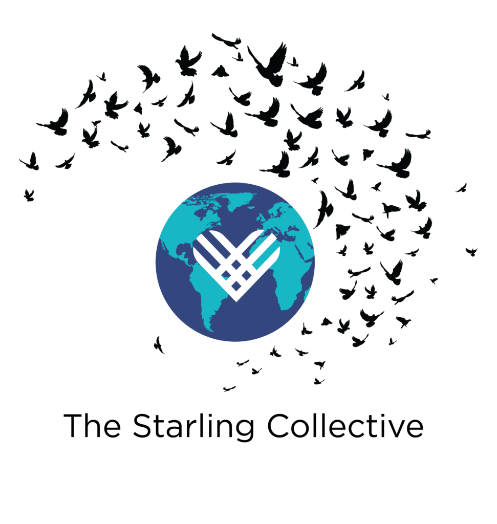 GivingTuesday Announces 2022 Cohort of the Starling Collective ...